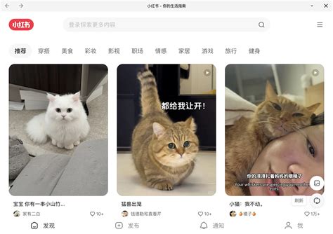 Utools插件 悬浮浏览器