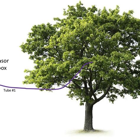 Schematic Of Air Quality Sensor Box Configured To Pump Air Through