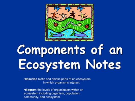 Components Of An Ecosystem Notes And Propertiesppt PPT