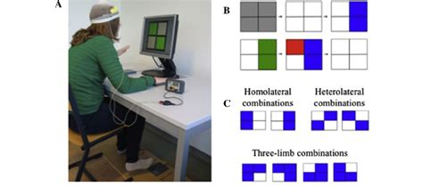 Overview Of Movement Combinations And Multi Limb Coordination Task Download Scientific Diagram