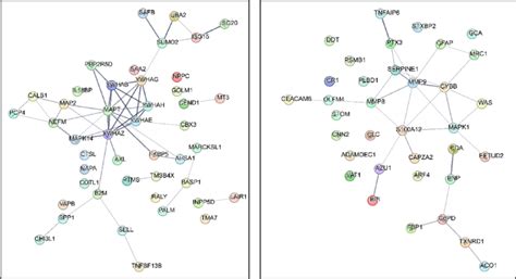 Molecular Signatures Enriched In Je Patient Csf String Functional Download Scientific Diagram