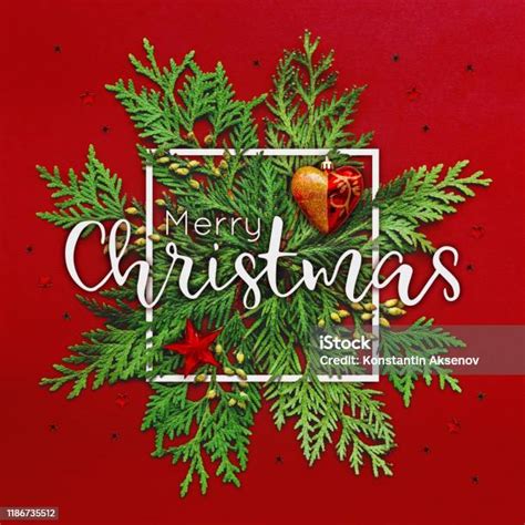 흰색 사각형 프레임에 투자 가지와 단어 메리 크리스마스와 크리스마스 배경 빨간 배경에 별과 심장 장식과 함께 인사말 트렌디 한 크리스마스 Thuja에 대한 스톡 사진 및