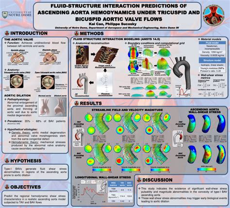 Pdf Fluid Structure Interaction Predictions Of Ascending Aorta Hemodynamics Under Tricuspid