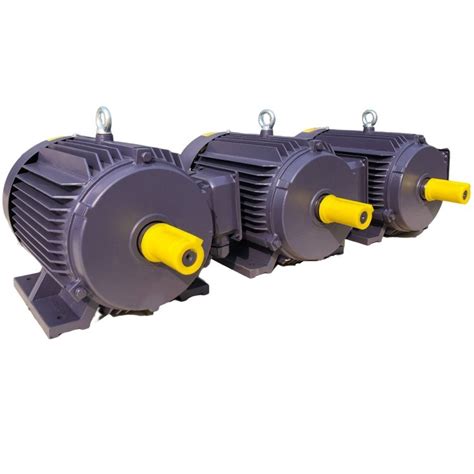 Premium High Efficiency Three Phase Induction Ac Electric Asynchronous