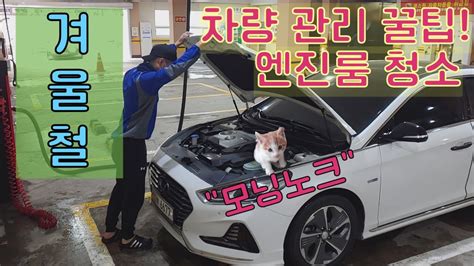 겨울철 차량🚗 관리 꿀팁👍🏻 엔진룸 청소 세차 브이로그 디테일링 Youtube