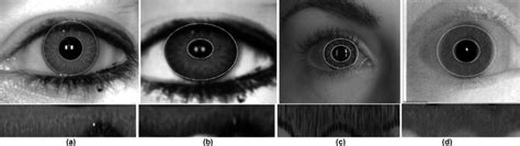 iris segmentation and normalization results of iris samples for a download scientific diagram