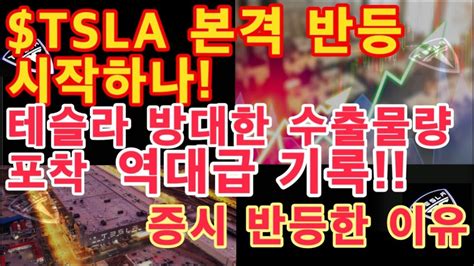 Tsla 반등 시작하나 테슬라 방대한 수출 물량 포착역대급 기록 미 증시 반등한 이유 Tesla 주가 테슬라 투자 테슬라 추매 Youtube