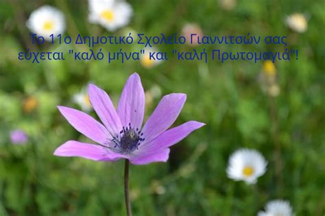 ΚΑΛΟ ΜΗΝΑ And ΚΑΛΗ ΠΡΩΤΟΜΑΓΙΑ ΕΝΔΕΚΑΤΟ ΒΗΜΑ 11ου ΔΗΜΟΤΙΚΟΥ ΓΙΑΝΝΙΤΣΩΝ ΝΙΚΑΝΔΡΟΣ ΠΑΠΑΪΩΑΝΝΟΥ