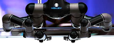 Sustainability Moley Robotics