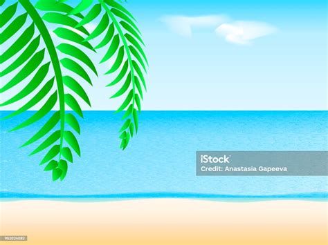 여름에 바다 해변입니다 야 자 나무의 분기입니다 벡터 일러스트 레이 션 0명에 대한 스톡 벡터 아트 및 기타 이미지 0명 경관 굽은 Istock