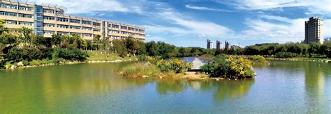 大连外国语大学国际本科 I 官方