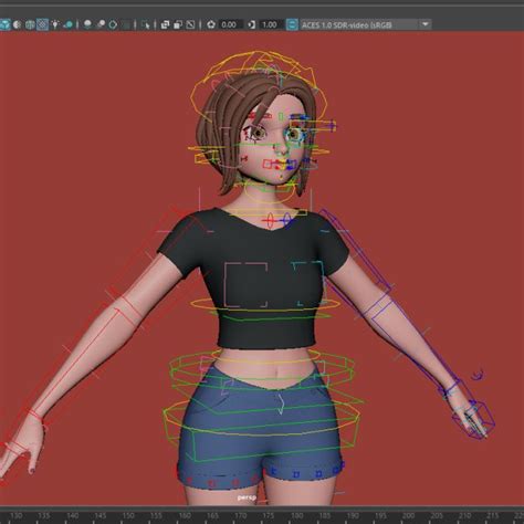 Nora Rig Animprops