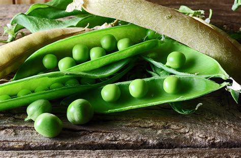 녹색 완두콩 포드 콩 Pixabay의 무료 사진