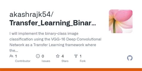 Transferlearningbinaryclassificationbinary Classificationusing