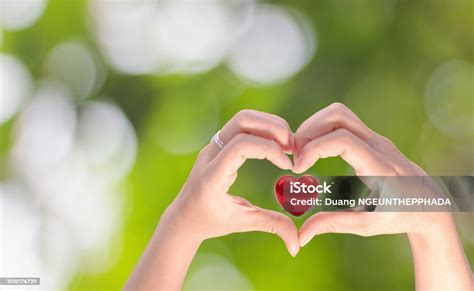 소녀 손 모양 하트와 3d 빨간 하트 기호를 Freen 흐림 보크 배경에 사랑에 대한 2월에 대한 스톡 사진 및 기타 이미지 2월 가리키기 개념 Istock