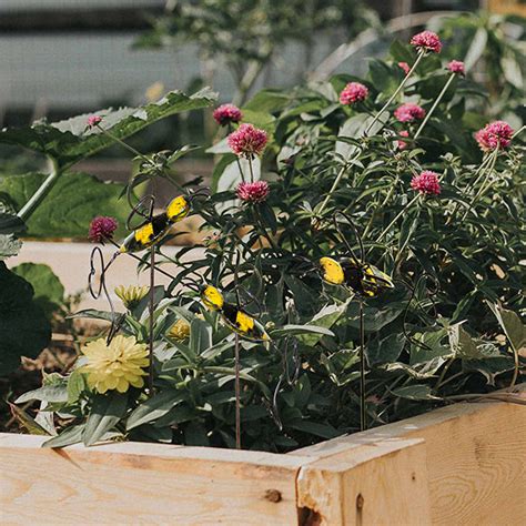 Mini Buzzy Bees Set Think Outside