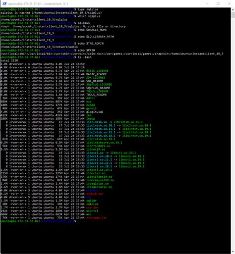 Linux No Such File Error Installing Oracle Instant Client Super User