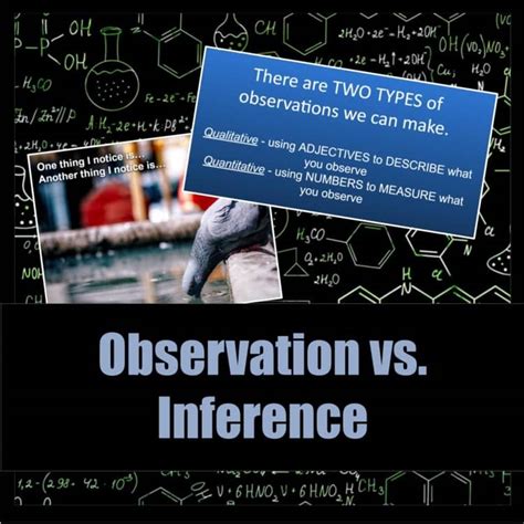 Observation Vs Inference Science Activity By Kbug Garden Of Learning