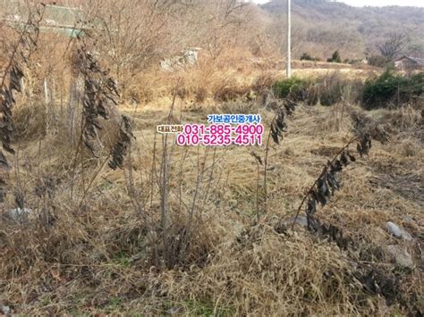 주변산세좋은 청정지역 여주부동산 맑은 공기와 조용한 마을끝자락 여주전원주택입니다 네이버 블로그