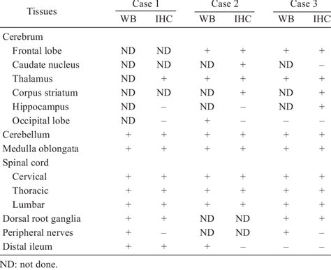 Distribution Of Prp Sc In Tissue Specimens Examined By Ihc And Wb