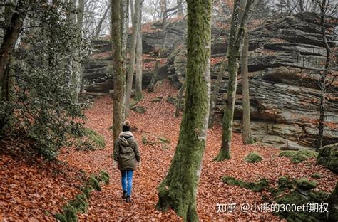 期权交易界面怎么看期权交易界面怎么交易 知乎