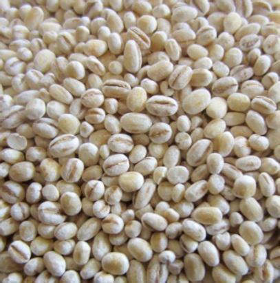 Biji Barli Barley Barli Lazada