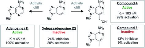 Of Experimental Data For Adenosine Analogs For Compounds 3 And 4 Ki Download Scientific
