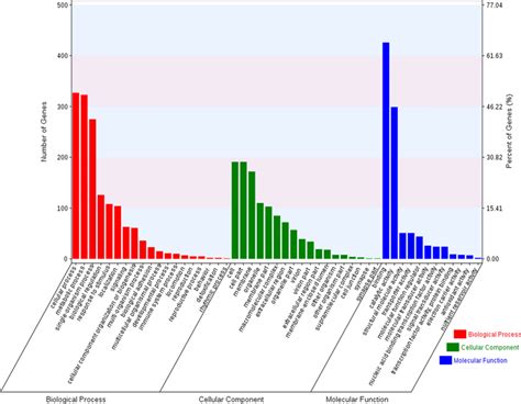 Gene Ontology Distribution Of The Target Genes For All Differentially Download Scientific