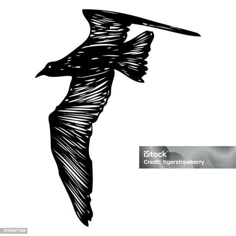 갈매기 새 항해 선원 문신 스케치 흰색 배경에 비행 갈매기 실루엣의 검은 스트로크 벡터에 물 새의 해양 도면 모양 에칭에 대한 스톡 벡터 아트 및 기타 이미지 Istock