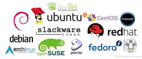 Linux介绍与基本指令 Csdn博客