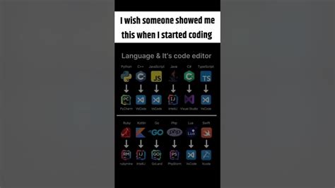 🔥programming Languages And Their Code Editors A Visual Guide For