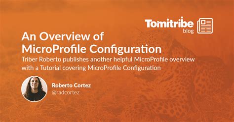 An Overview Of Microprofile Configuration