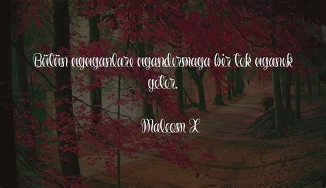 String Lines Font Font Tr