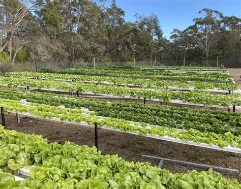 South Coast Local Producers Guide Surfside Cudmirrah Beach