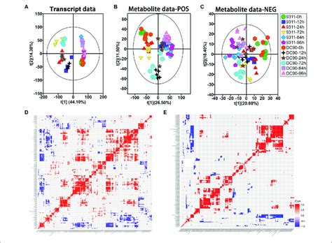 Principal Component Analysis Pca Of The Transcript And Metabolite