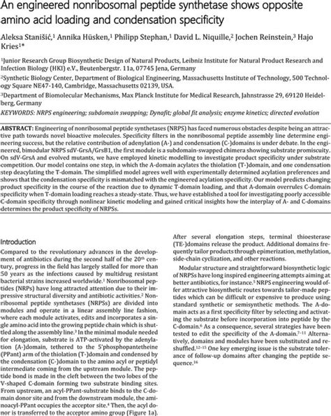 An Engineered Nonribosomal Peptide Synthetase Shows Opposite Amino Acid Loading And Condensation
