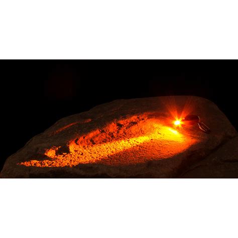 Photon Micro Light Ii 2 X Cr2016