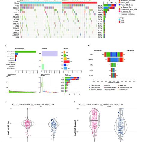 Somatic Variant Analysis Between High And Low Risk Groups In Tcga