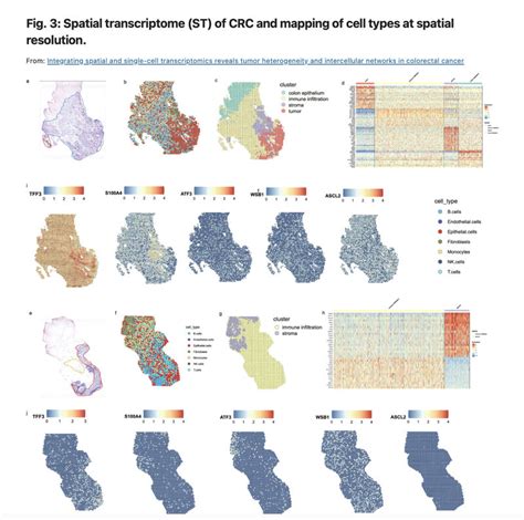 Abiosciences On Linkedin Integrating Spatial And Single Cell