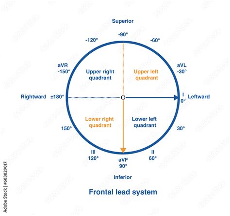 The Frontal Lead System Can Be Divided Into Four Quadrants Upper Left