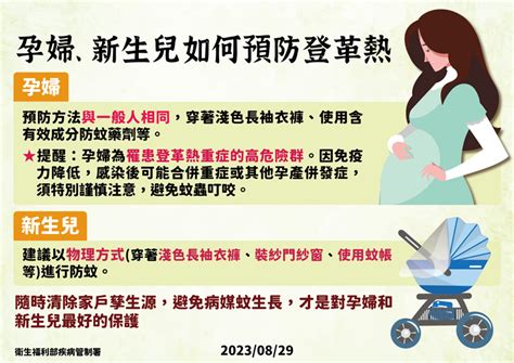 登革熱本土破3千！8旬老翁重症死亡 母子垂直感染現蹤