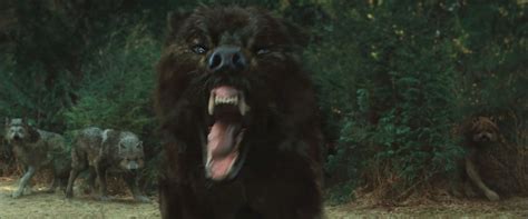 New Moon Werewolf Sam Twilight Series Photo 10091432 Fanpop