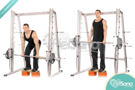 Smith Machine Deadlift