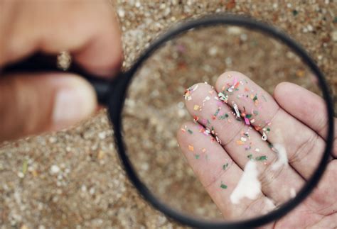 Tiny Pollutants Big Problems The Impact Of Microplastics On Water Quality