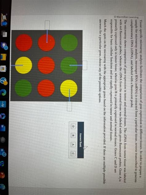 Tissue Specific Microarray Analysis Facilitates The