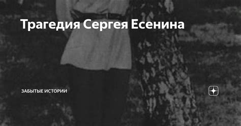 Трагедия Сергея Есенина Истории от историка Дзен