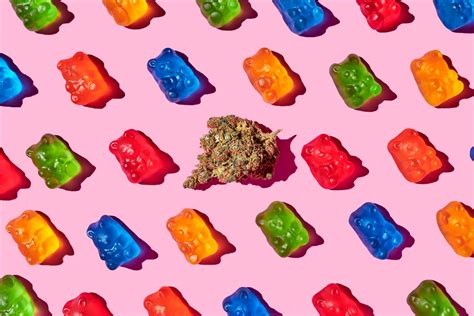 Sativa Vs Indica Edibles Is There A Difference Buy Low Green