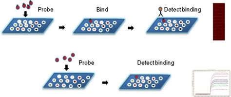 Measuring Probe Interactions With Microarrayed Proteins Top Detecting Download Scientific
