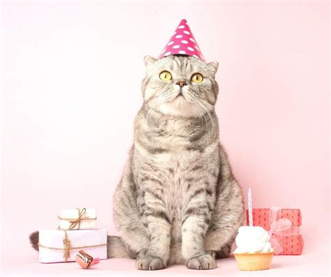 Weaveworks Weavecloud Gitops Kubernetes Weaveworks