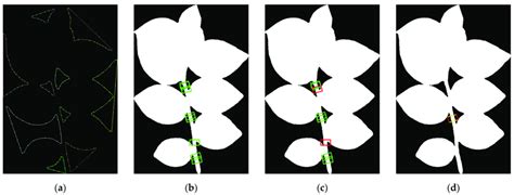 key intermediate results of the grasp proposal and optimal grasp